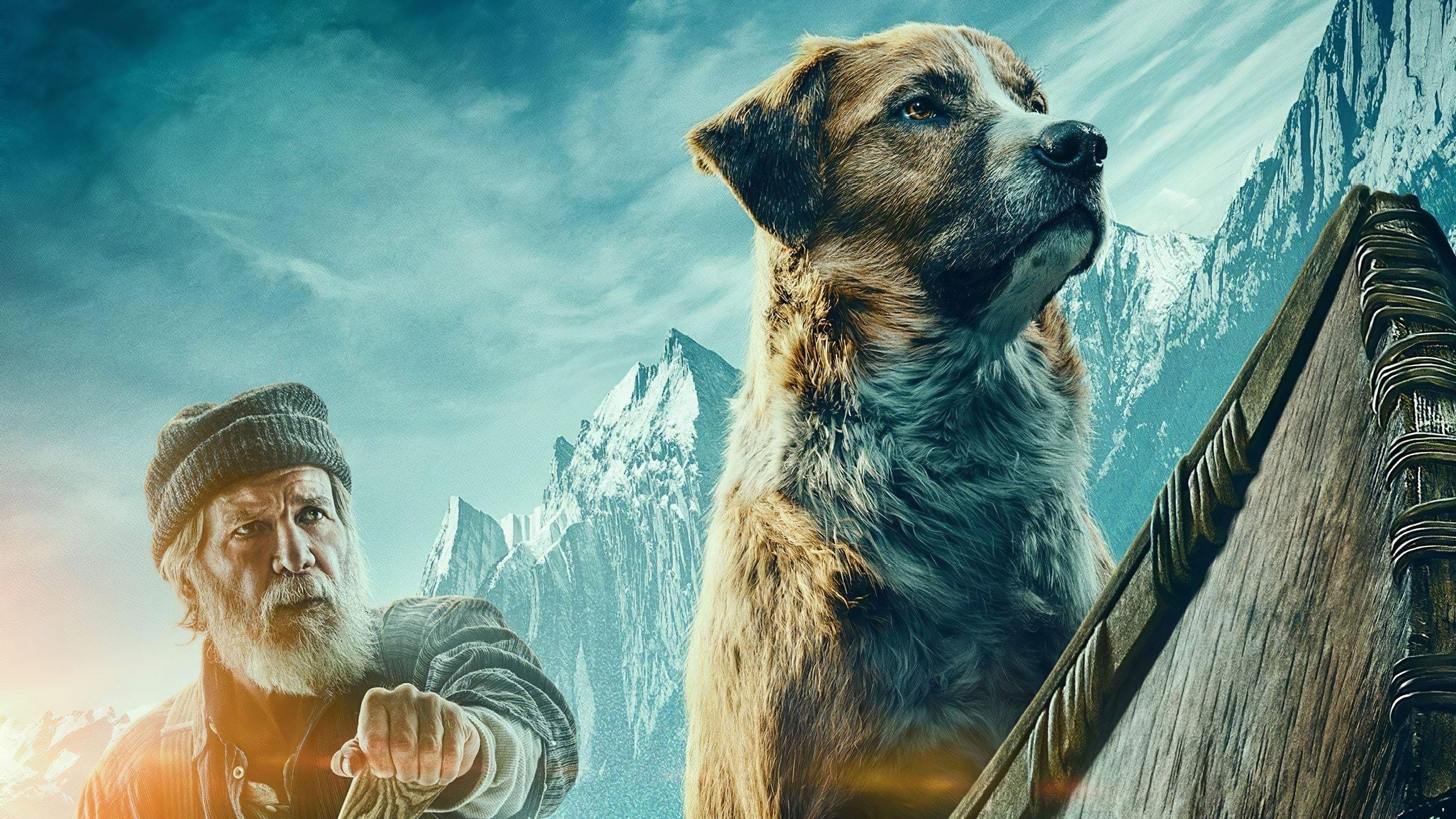 Wild Dog Wallpapers - Top Free Wild Dog Backgrounds - WallpaperAccess