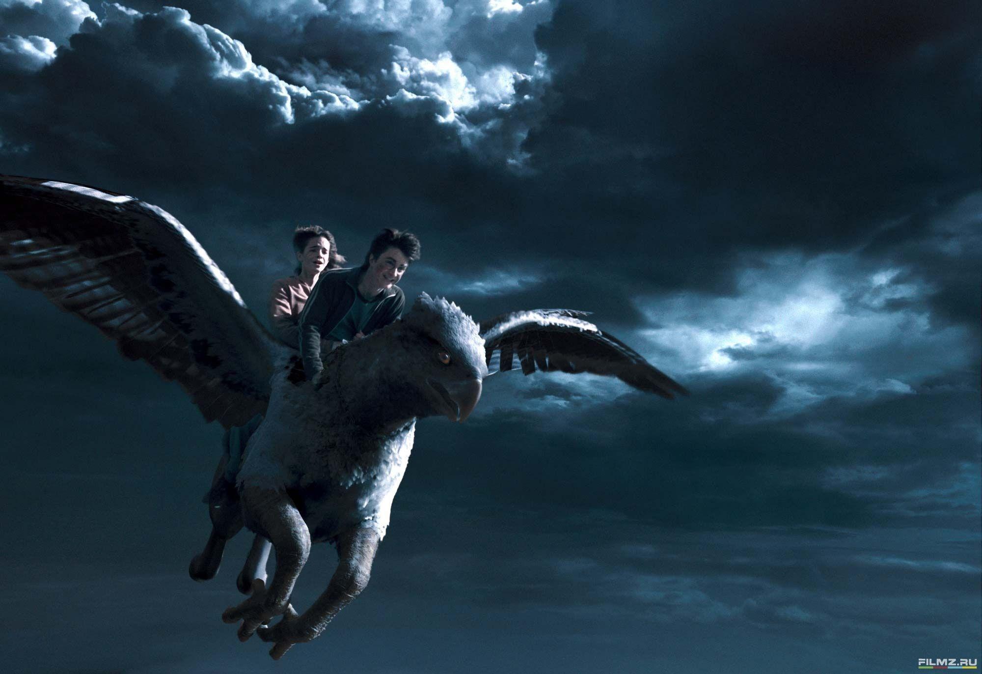 Hippogriff Wallpapers - Top Free Hippogriff Backgrounds - WallpaperAccess