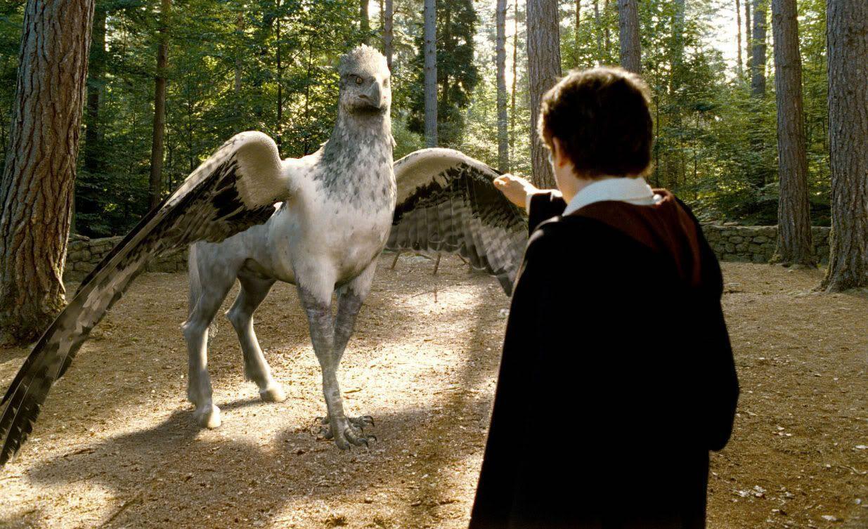 Hippogriff Wallpapers - Top Free Hippogriff Backgrounds - WallpaperAccess