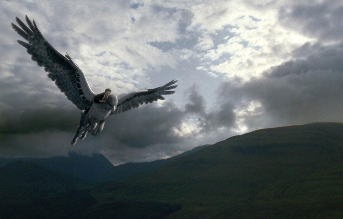 Buckbeak Wallpapers - Top Free Buckbeak Backgrounds - WallpaperAccess