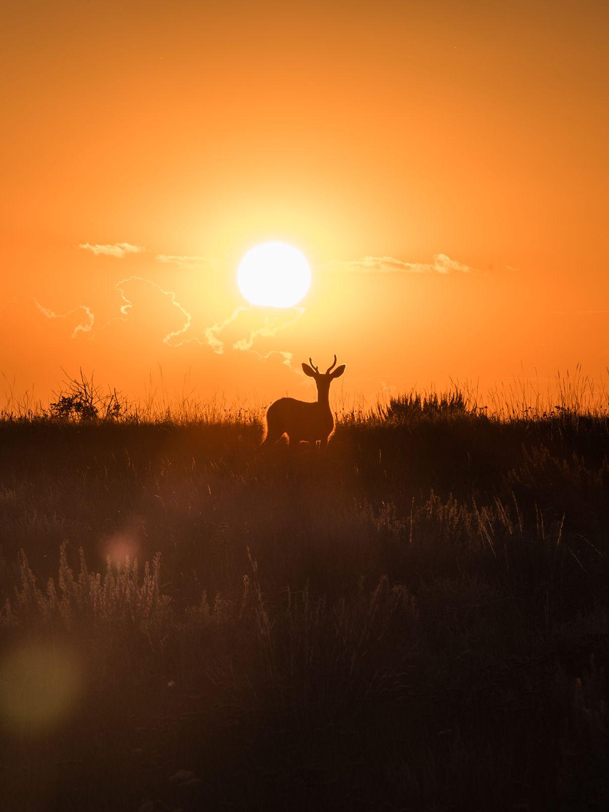 Saskatchewan Wallpapers - Top Free Saskatchewan Backgrounds ...
