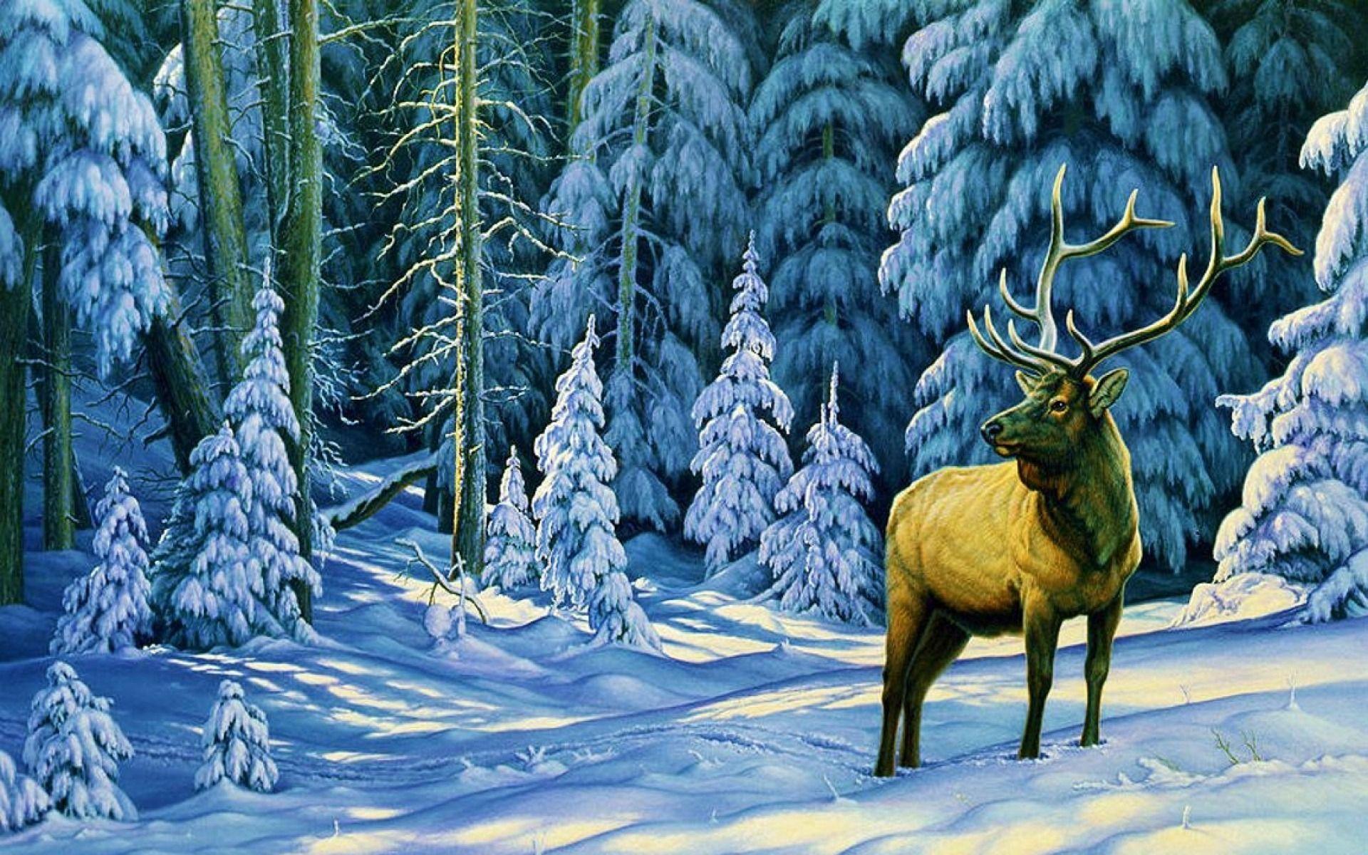 Winter Deer Wallpapers - Top Free Winter Deer Backgrounds - WallpaperAccess