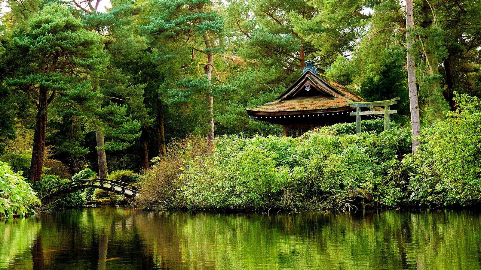 Stress Relief Wallpapers - Top Free Stress Relief Backgrounds ...