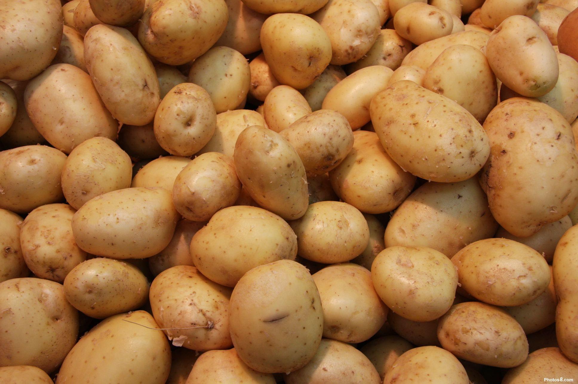 Potatoes Wallpapers - Top Free Potatoes Backgrounds - WallpaperAccess