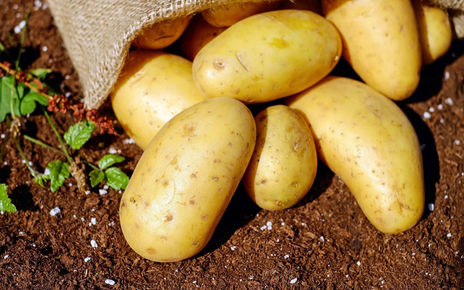 Potatoes Wallpapers - Top Free Potatoes Backgrounds - WallpaperAccess