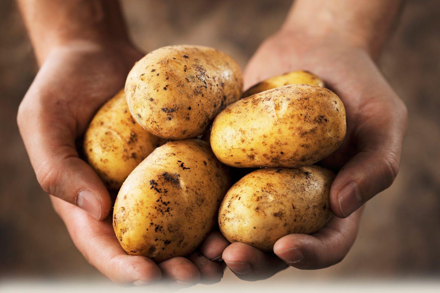 Potatoes Wallpapers - Top Free Potatoes Backgrounds - WallpaperAccess