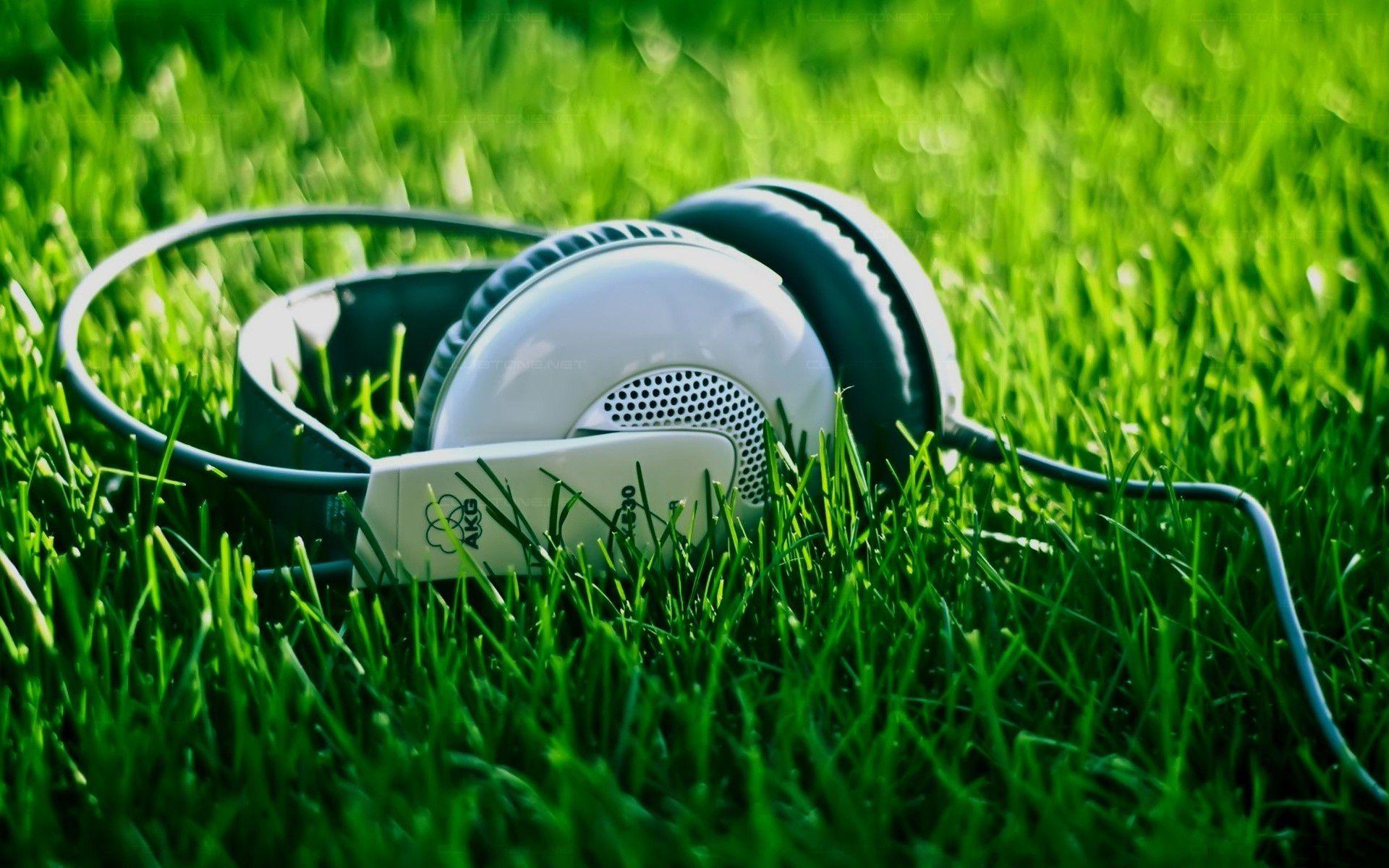 Music Lover Wallpapers - Top Free Music Lover Backgrounds - WallpaperAccess