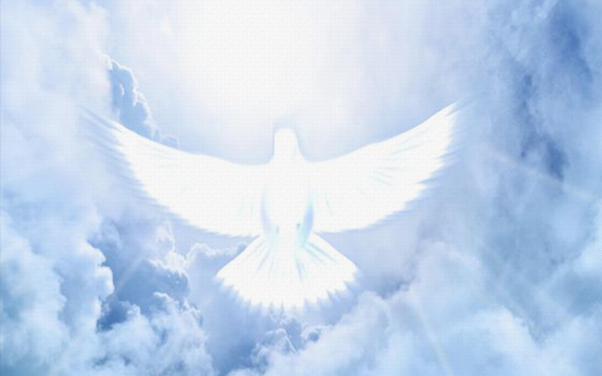 Christening Wallpapers - Top Free Christening Backgrounds - WallpaperAccess
