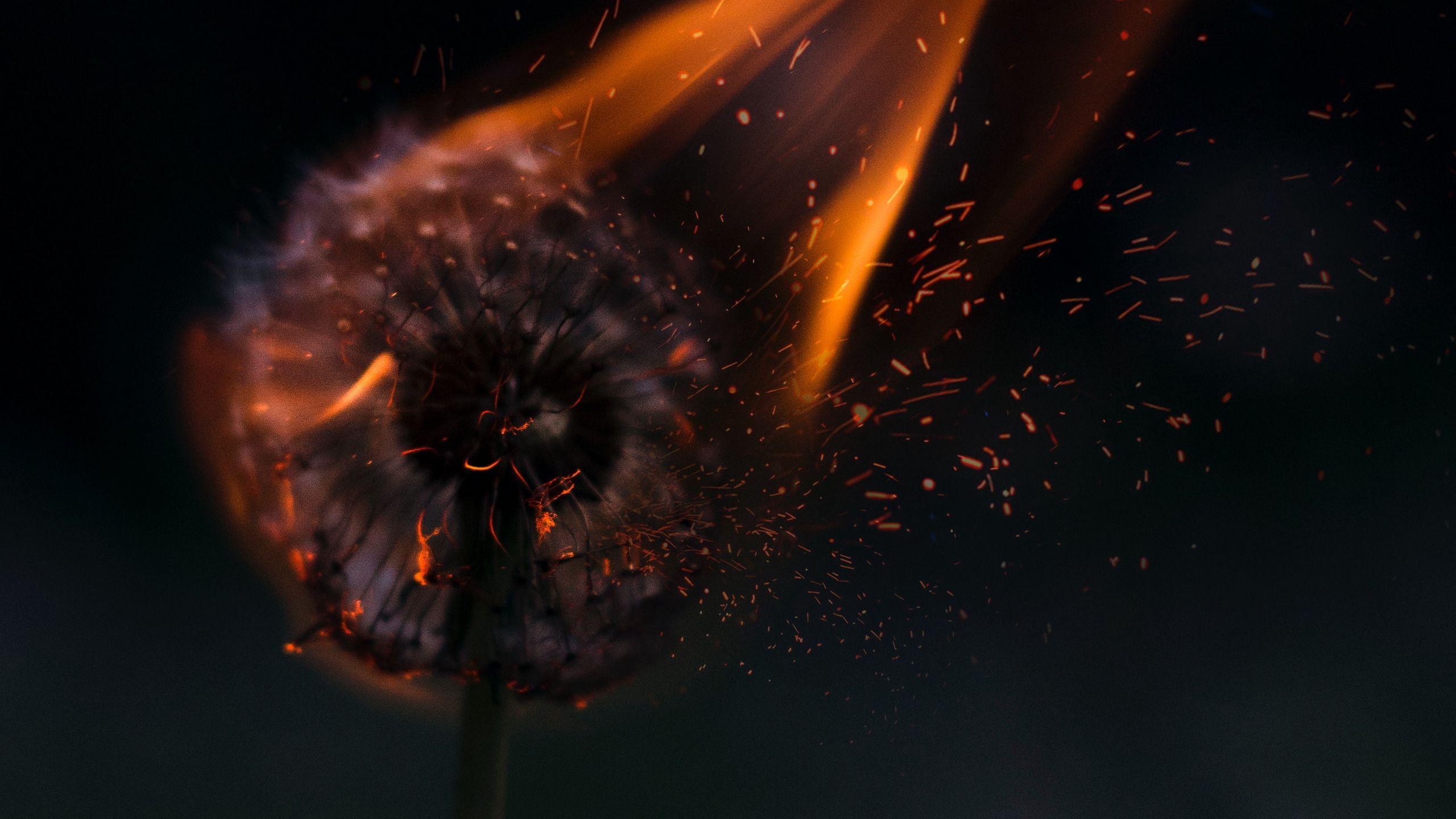 Fire Spark Wallpapers - Top Free Fire Spark Backgrounds - WallpaperAccess