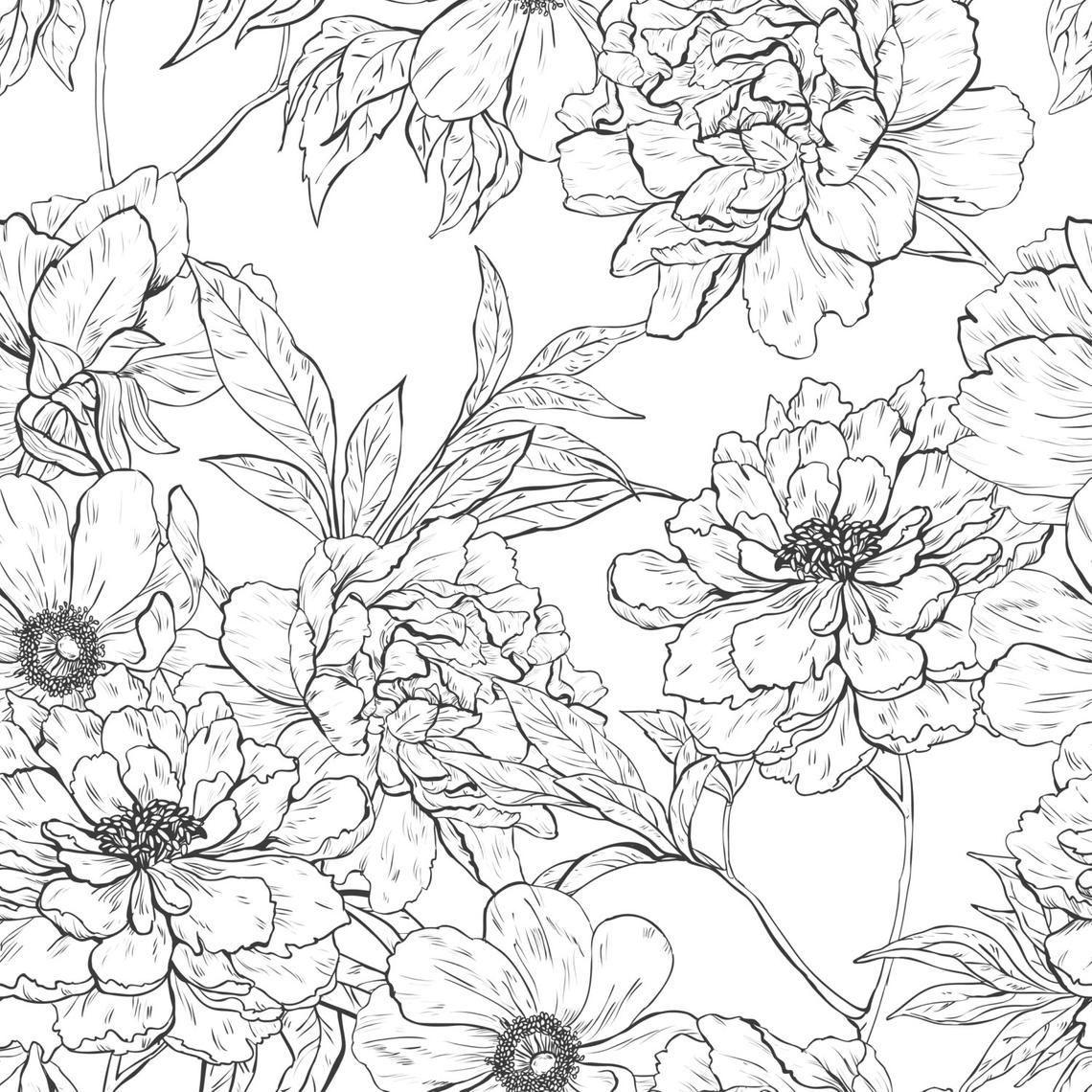 Simple White Floral Wallpapers - Top Free Simple White Floral ...