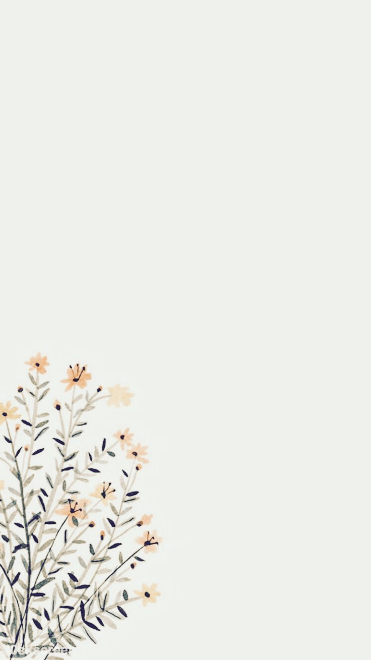 Simple White Floral Wallpapers - Top Free Simple White Floral ...