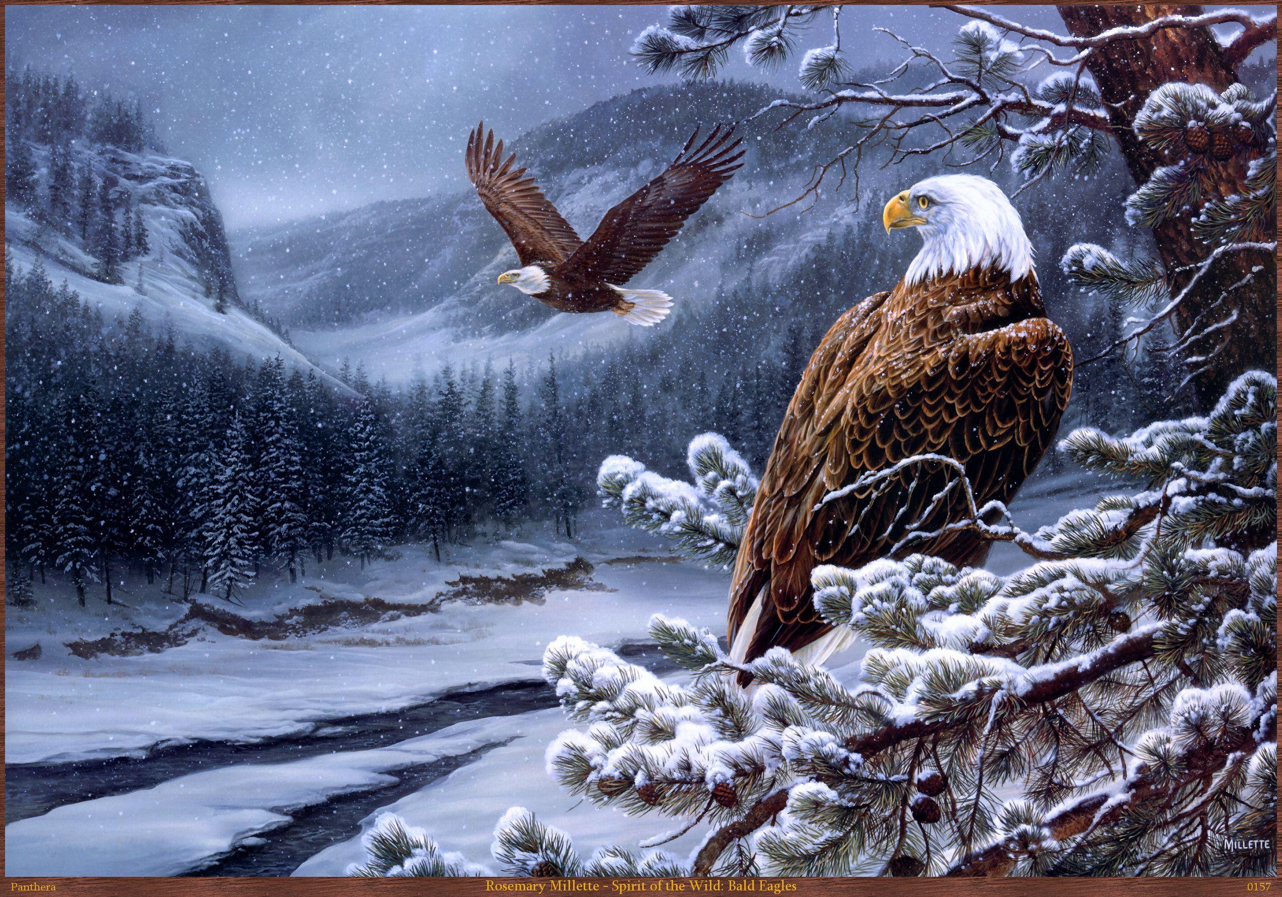 Native Eagle Wallpapers - Top Free Native Eagle Backgrounds ...