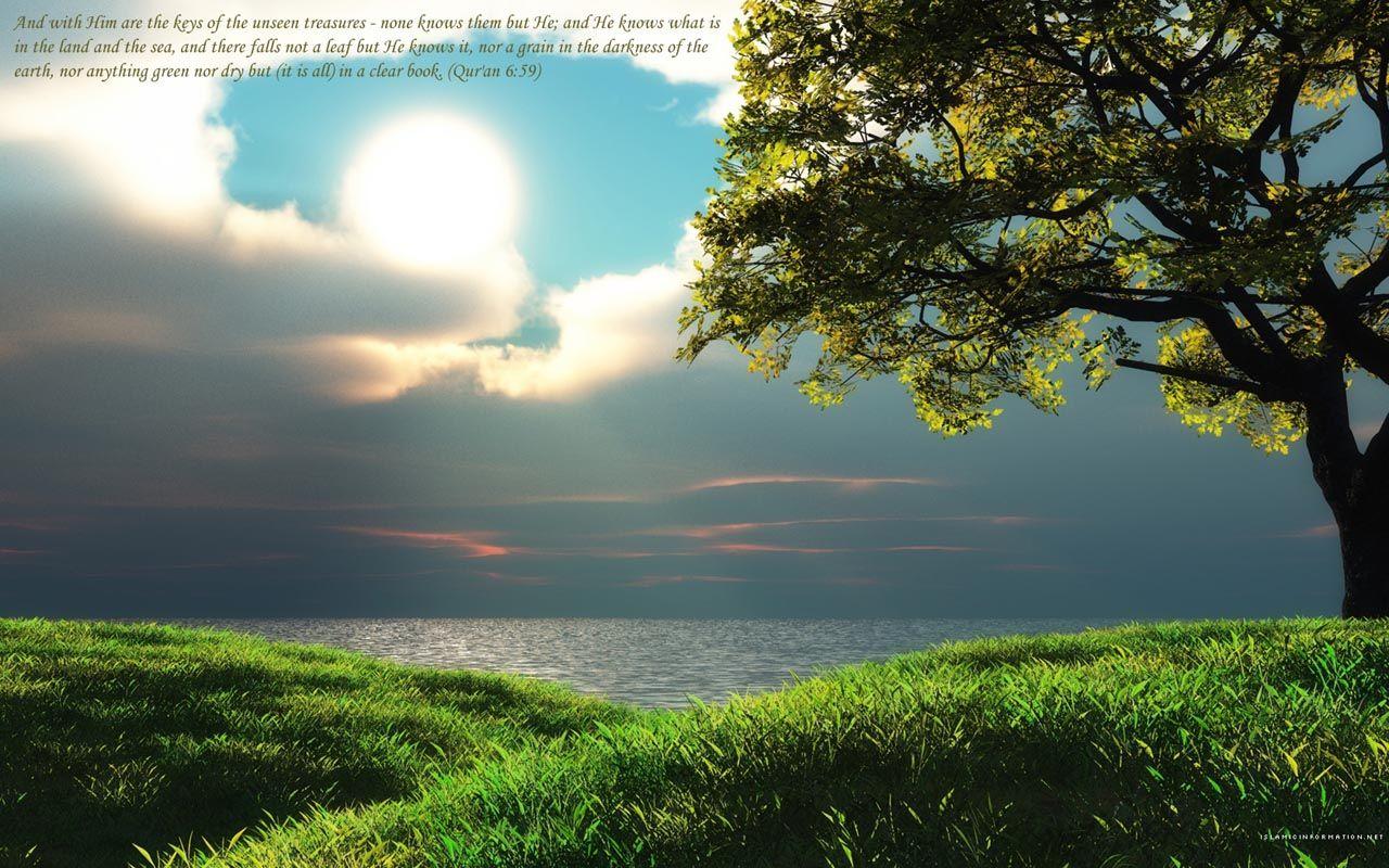 Islamic Nature Wallpapers - Top Free Islamic Nature Backgrounds ...