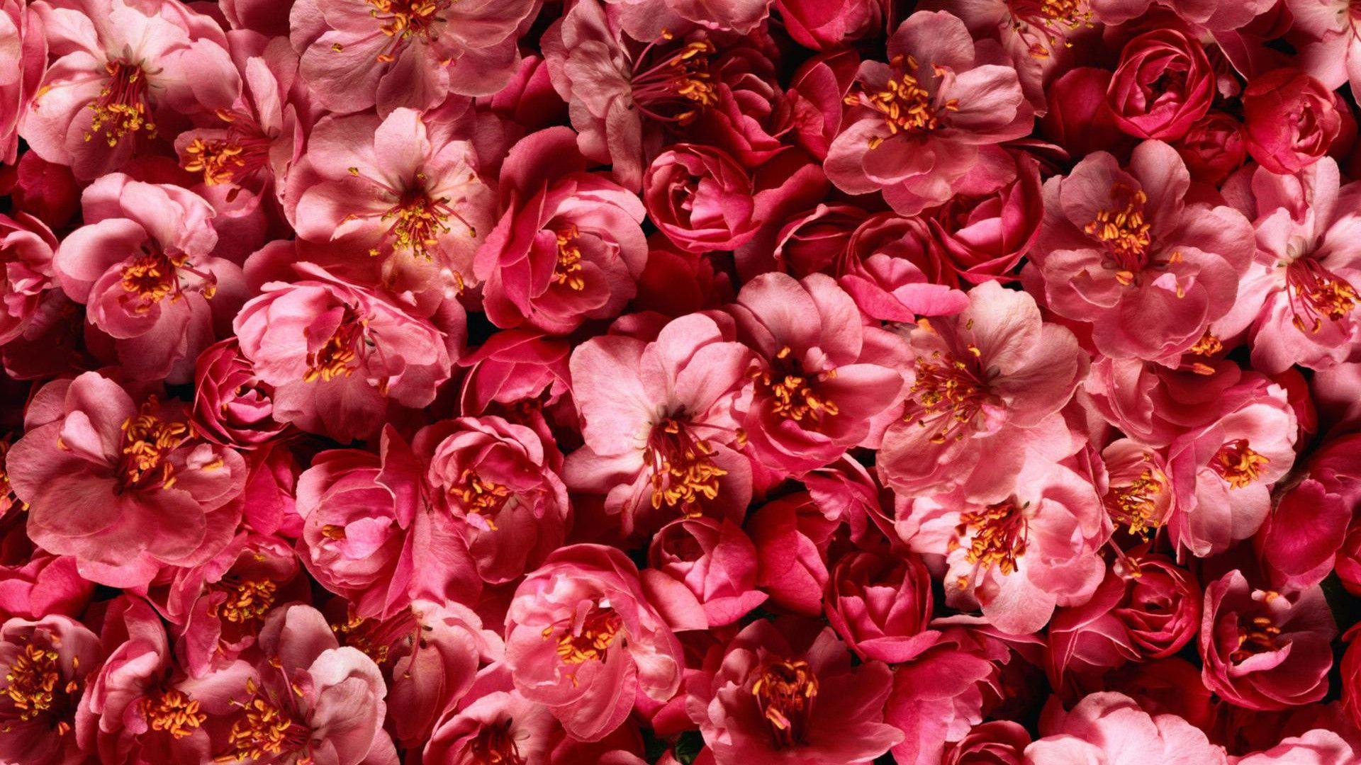 Color Abstract Spring Wallpapers - Top Free Color Abstract Spring ...