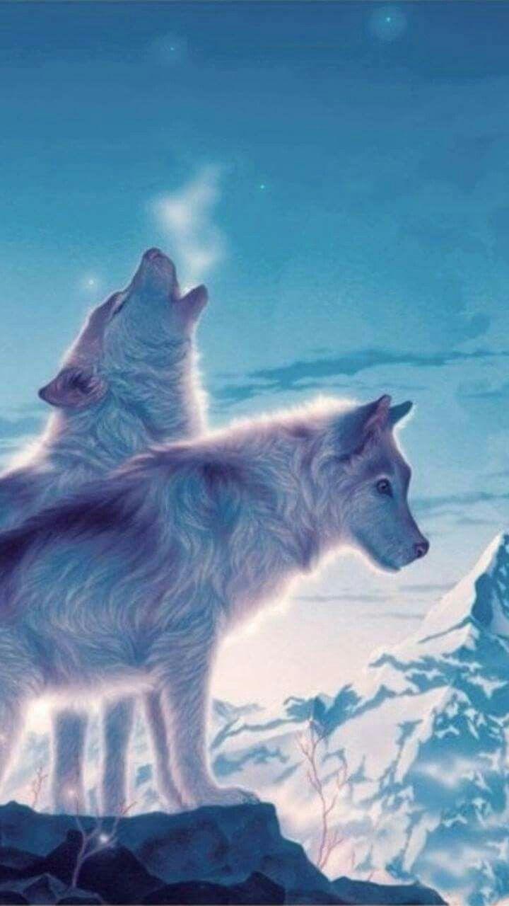 Bad Wolf iPhone Wallpapers - Top Free Bad Wolf iPhone Backgrounds ...