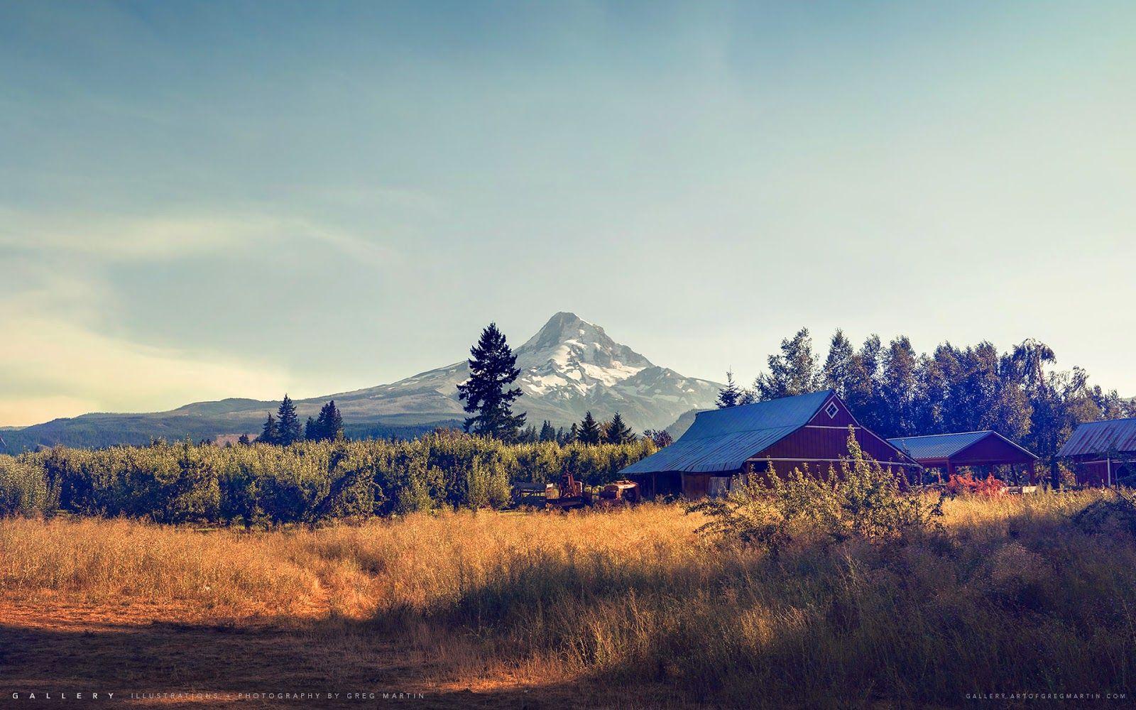 Pure Nature Wallpapers - Top Free Pure Nature Backgrounds - WallpaperAccess