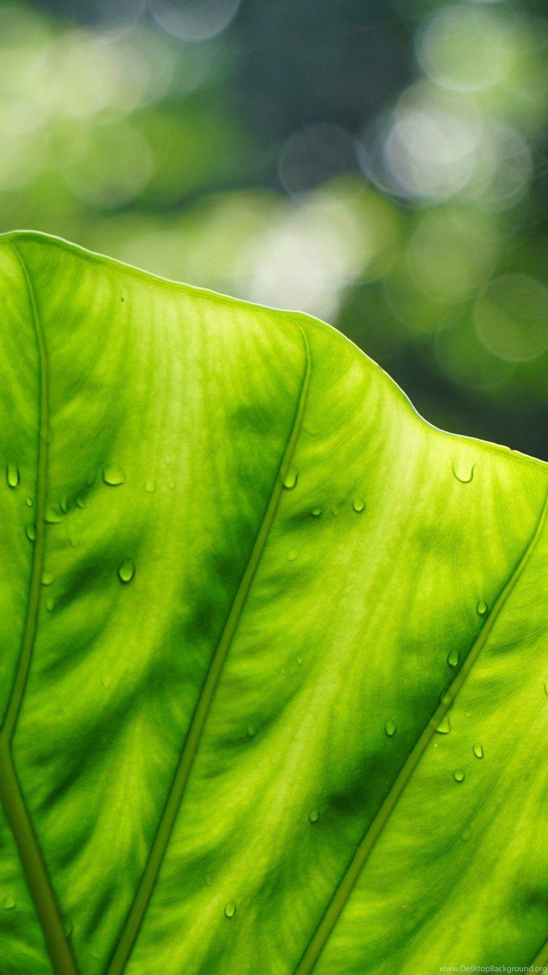 Pure HD Wallpapers - Top Free Pure HD Backgrounds - WallpaperAccess