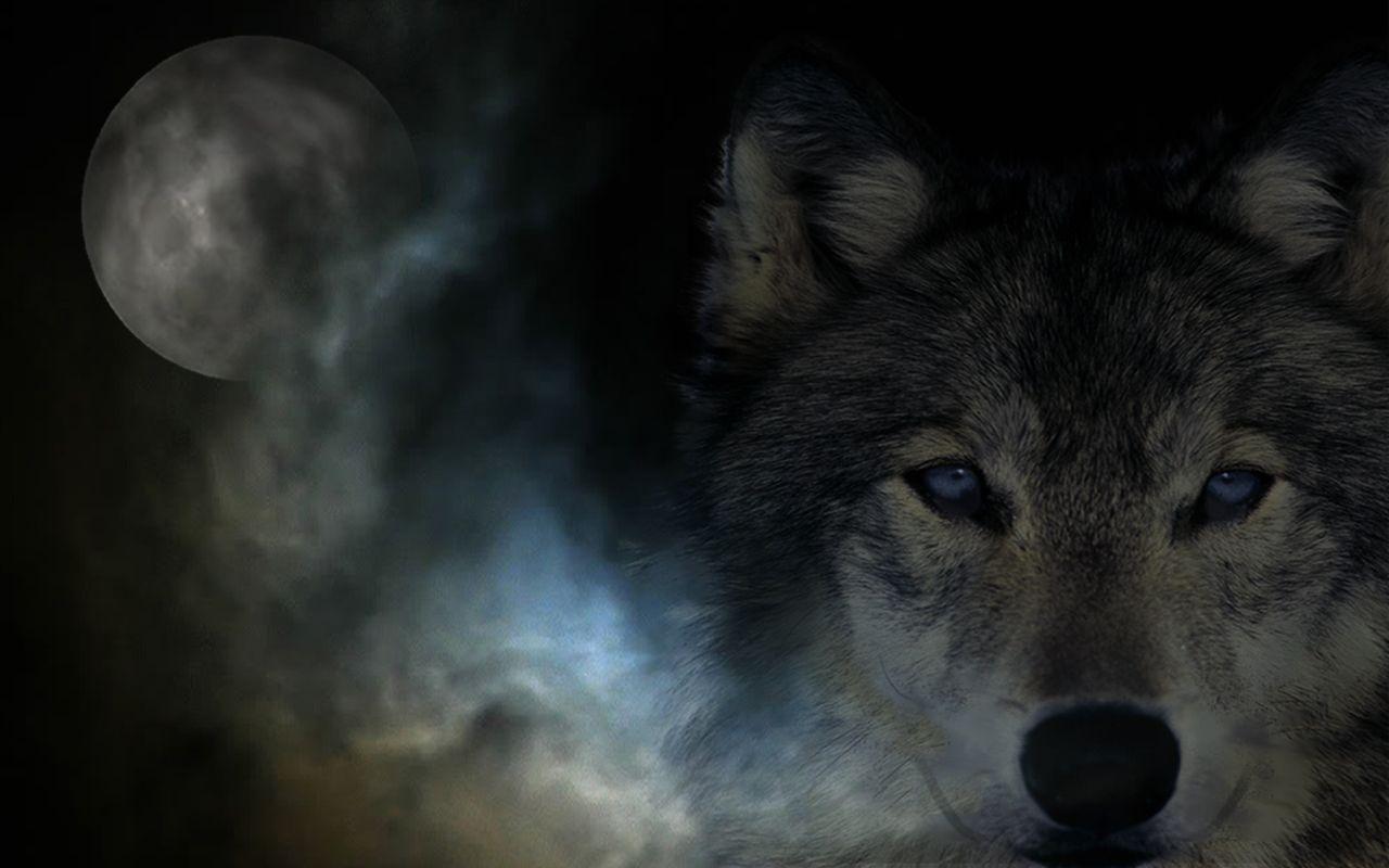 Dark Wolf Wallpapers - Top Free Dark Wolf Backgrounds - WallpaperAccess