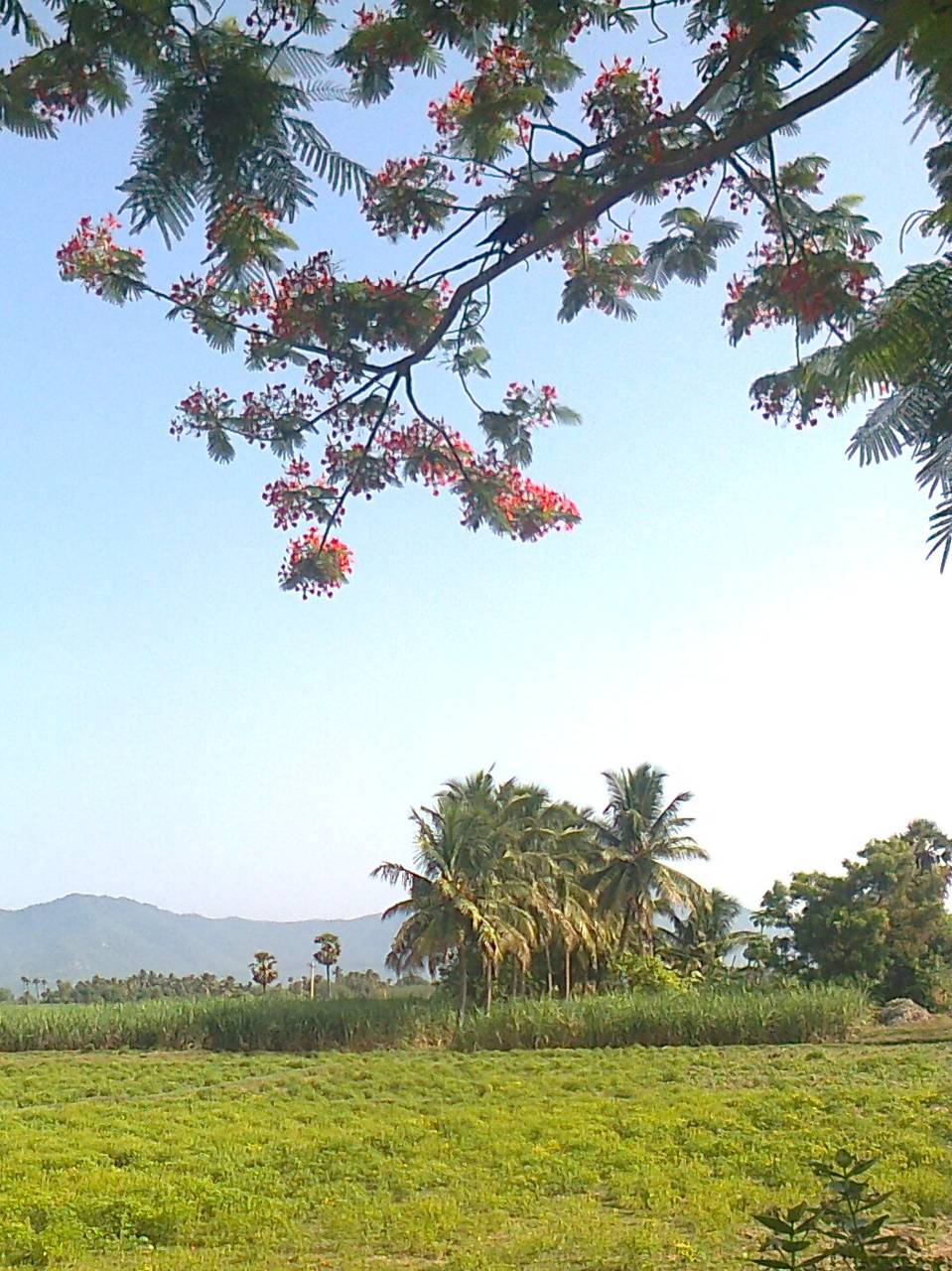 Scenario Wallpapers - Top Free Scenario Backgrounds - WallpaperAccess