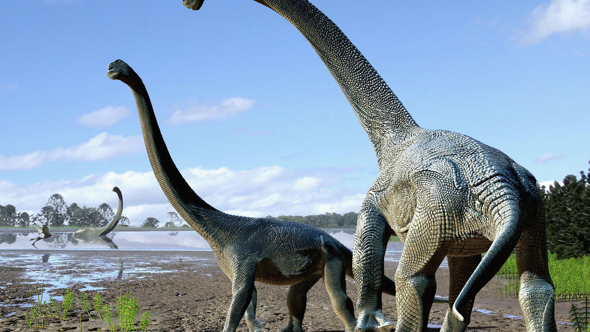 Dinosaur 4K Wallpapers - Top Free Dinosaur 4K Backgrounds - WallpaperAccess