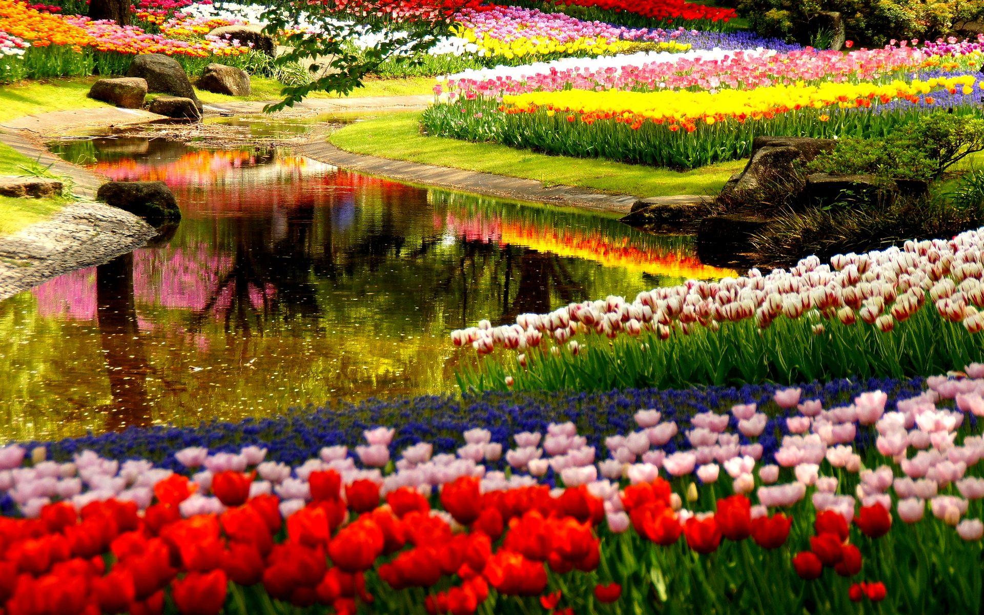 Spring Flower Garden Desktop Wallpapers - Top Free Spring Flower Garden ...