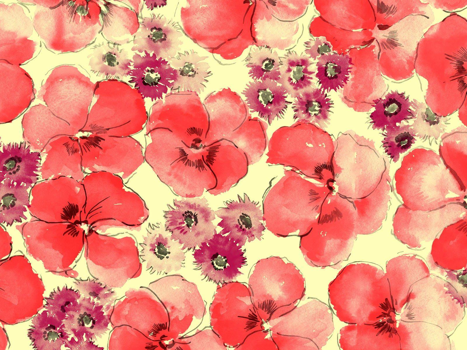 Red Flower Laptop Wallpapers - Top Free Red Flower Laptop Backgrounds ...