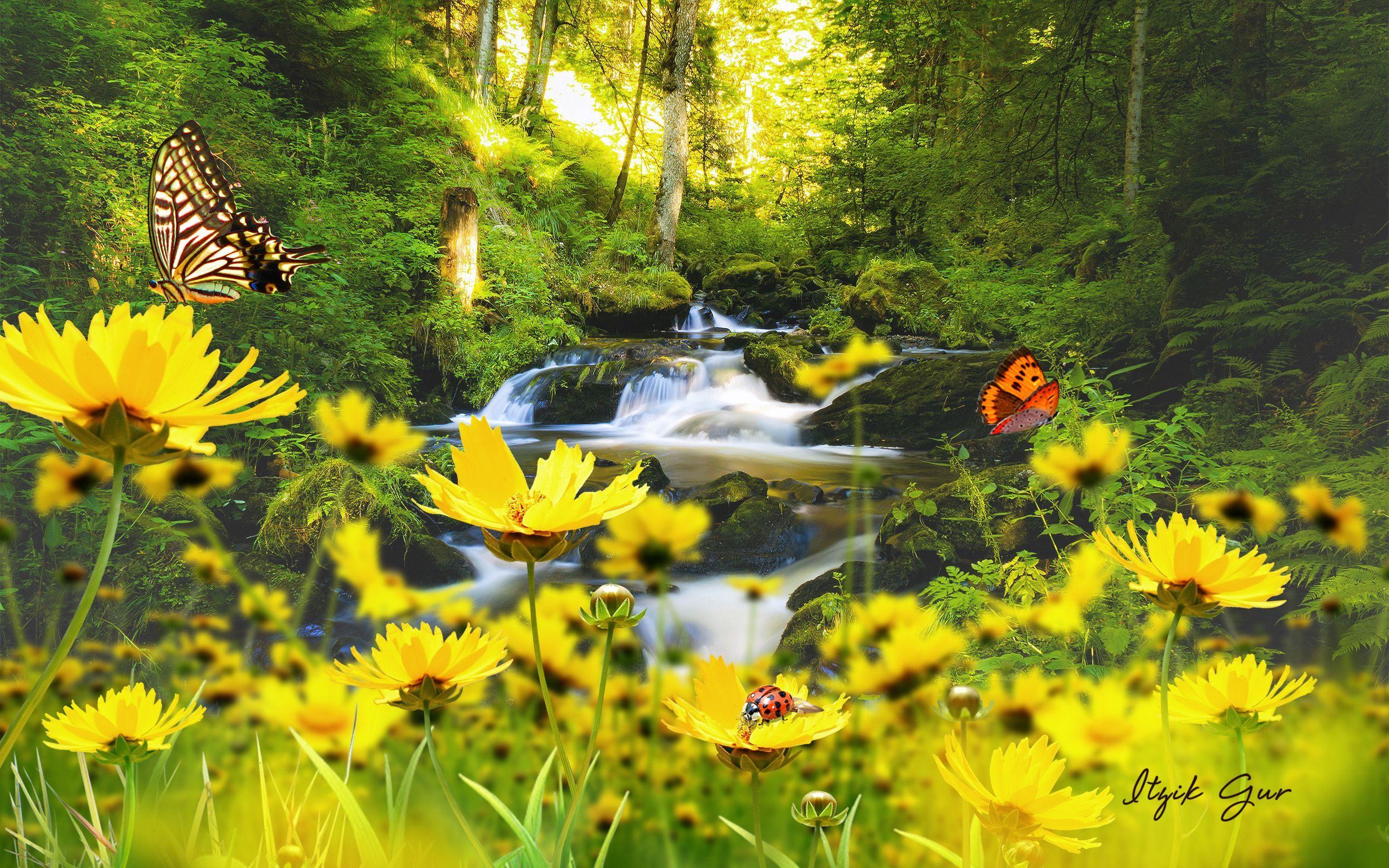 Flower Waterfall Wallpapers - Top Free Flower Waterfall Backgrounds ...