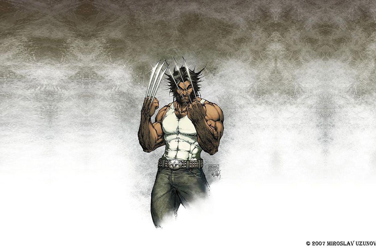 Angry Wolverine Wallpapers - Top Free Angry Wolverine Backgrounds ...