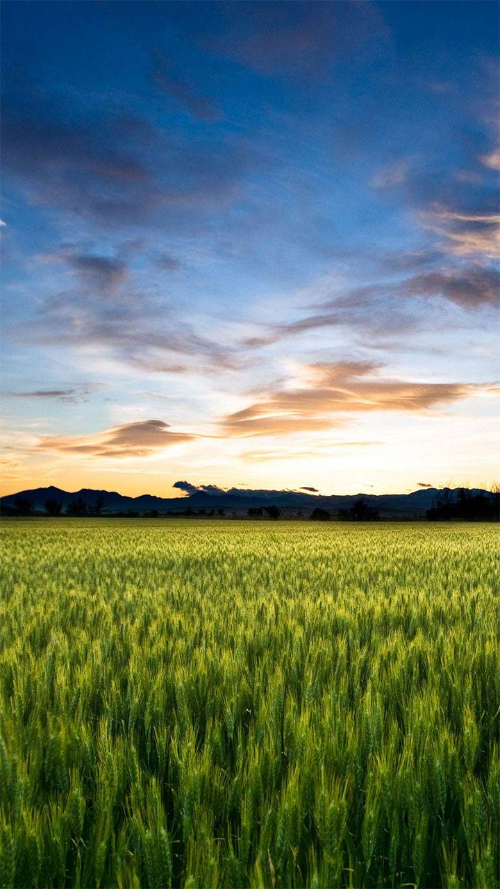 New Surface Lock Screen Wallpapers - Top Free New Surface Lock Screen ...