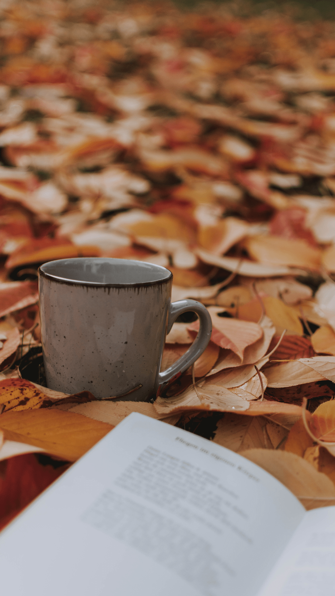 Fall Coffee Wallpapers - Top Free Fall Coffee Backgrounds - WallpaperAccess