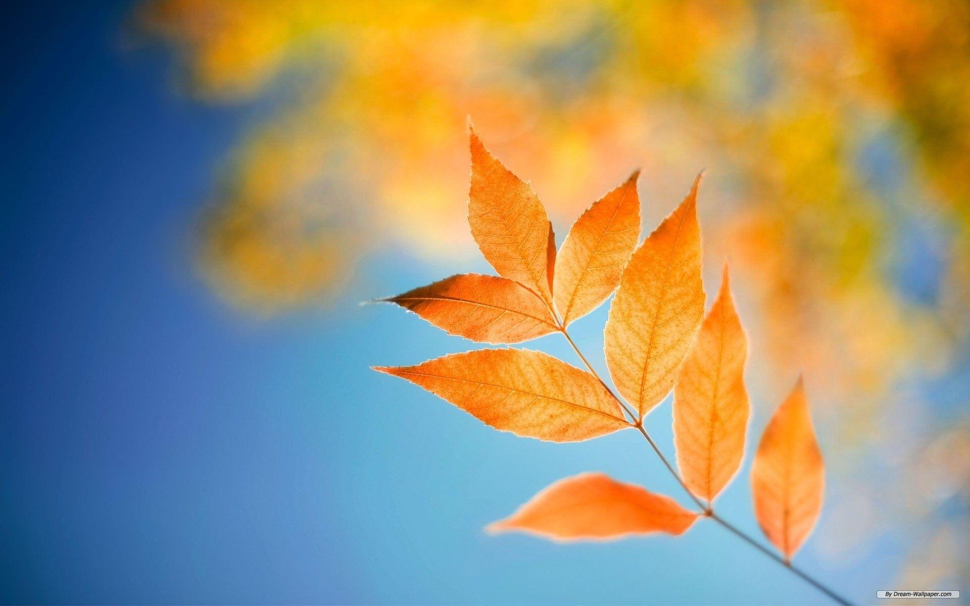 New Surface Lock Screen Wallpapers - Top Free New Surface Lock Screen ...