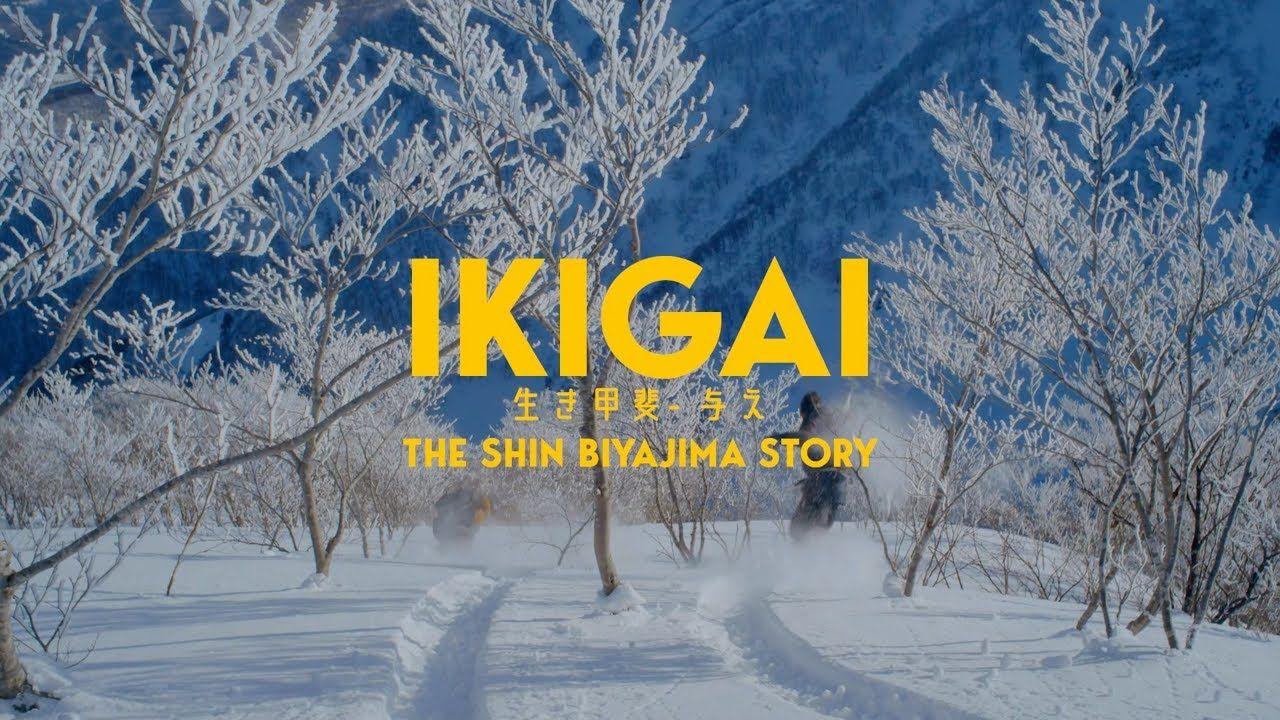 Ikigai Wallpapers - Top Free Ikigai Backgrounds - WallpaperAccess