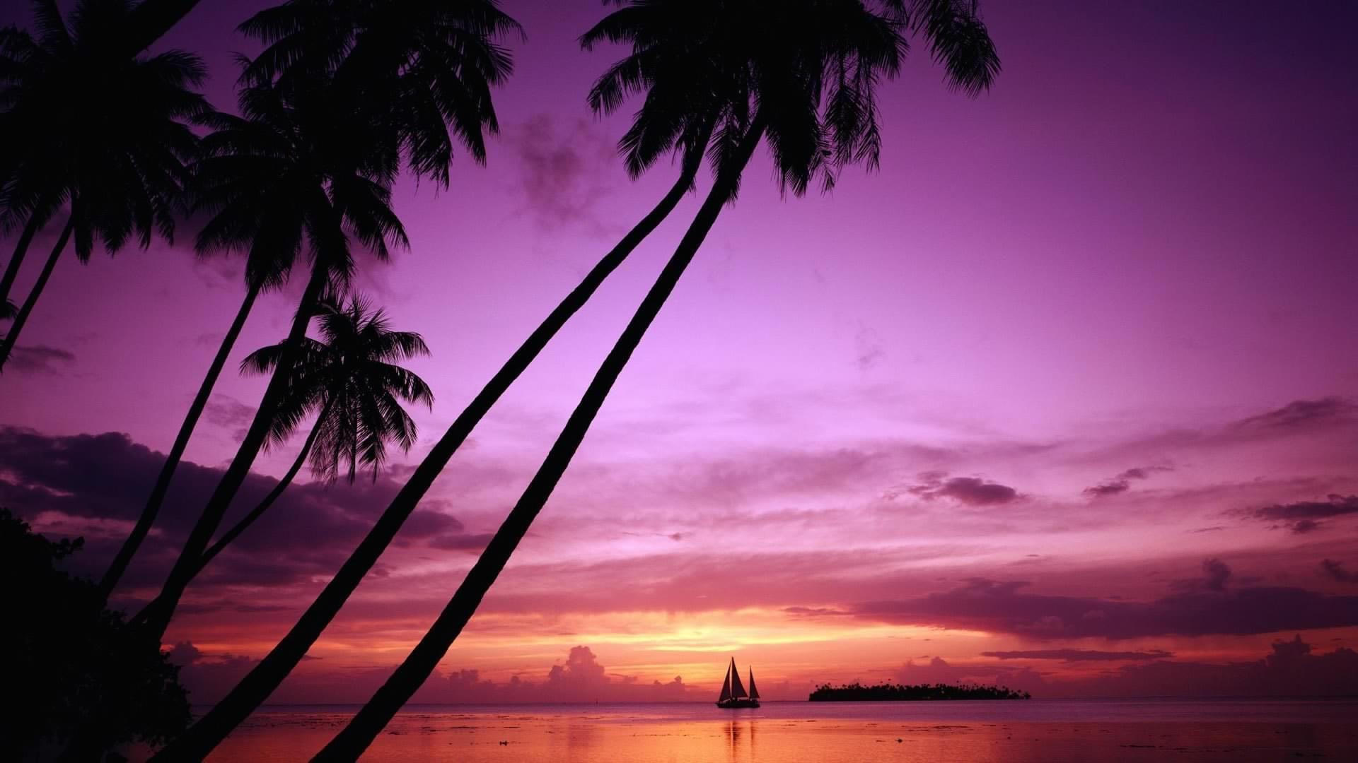 80s Palm Tree Sunset Wallpapers - Top Free 80s Palm Tree Sunset ...