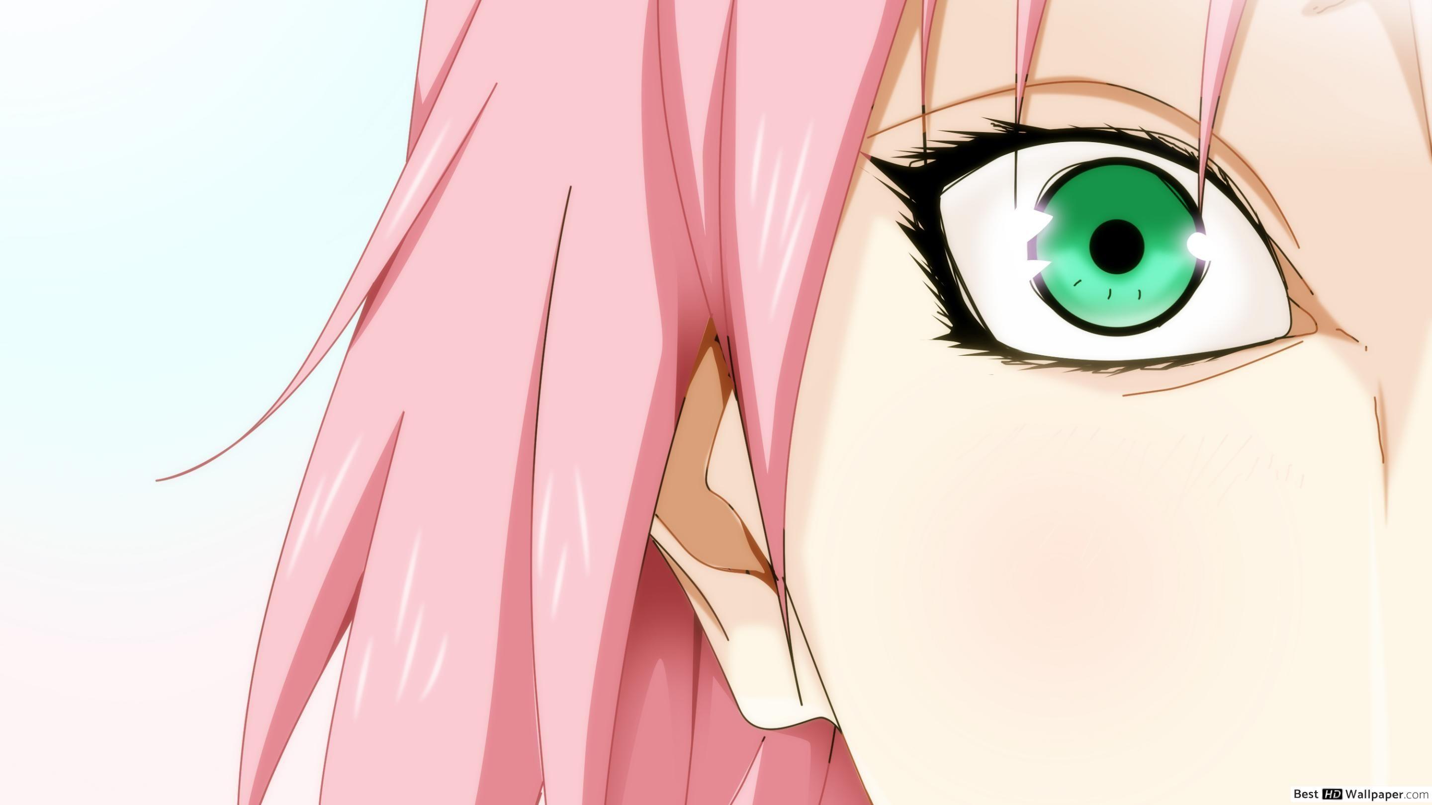 Sakura Haruno Computer Wallpapers - Top Free Sakura Haruno Computer ...