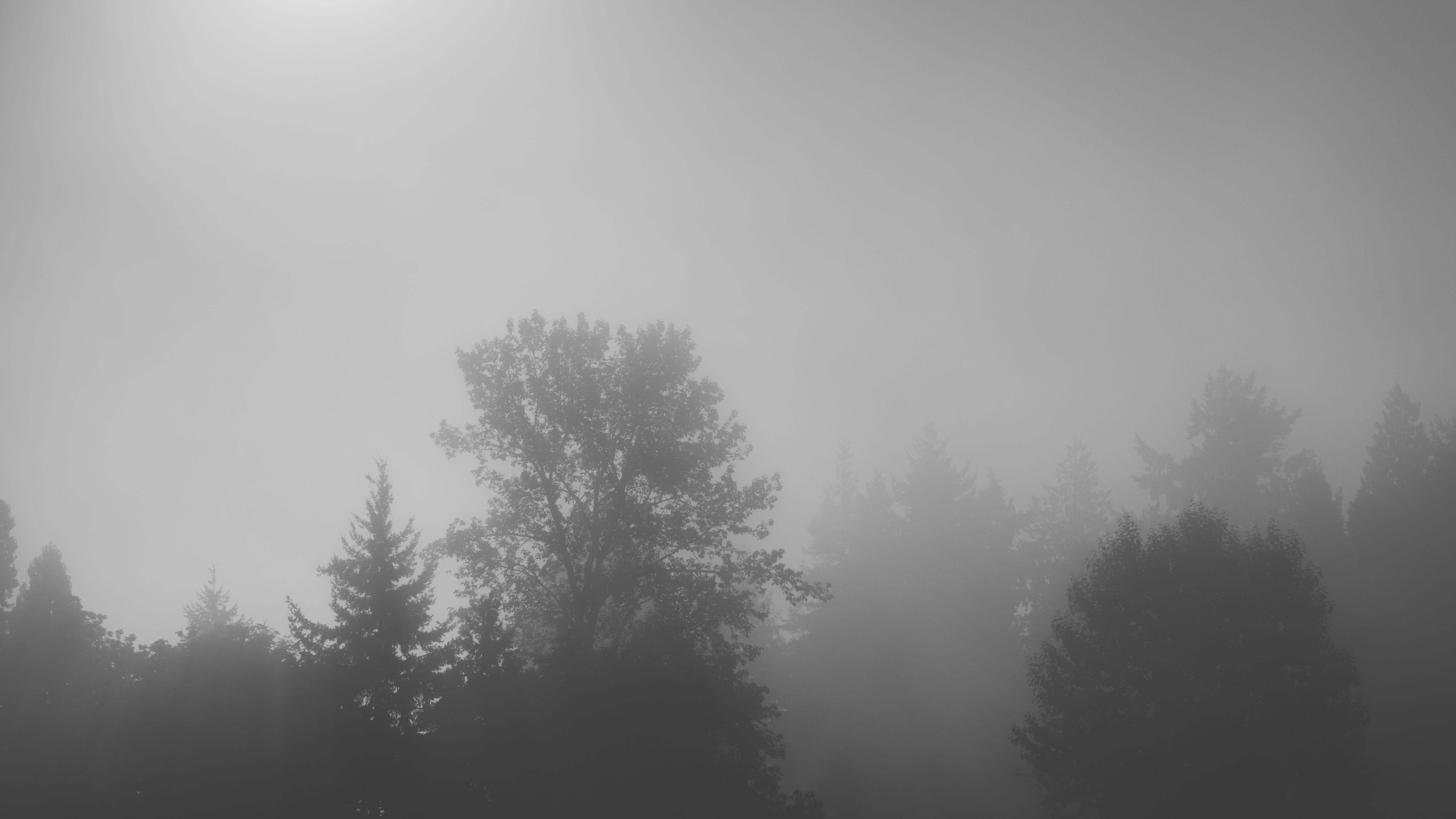 Smoke Grey Wallpapers - Top Free Smoke Grey Backgrounds - WallpaperAccess