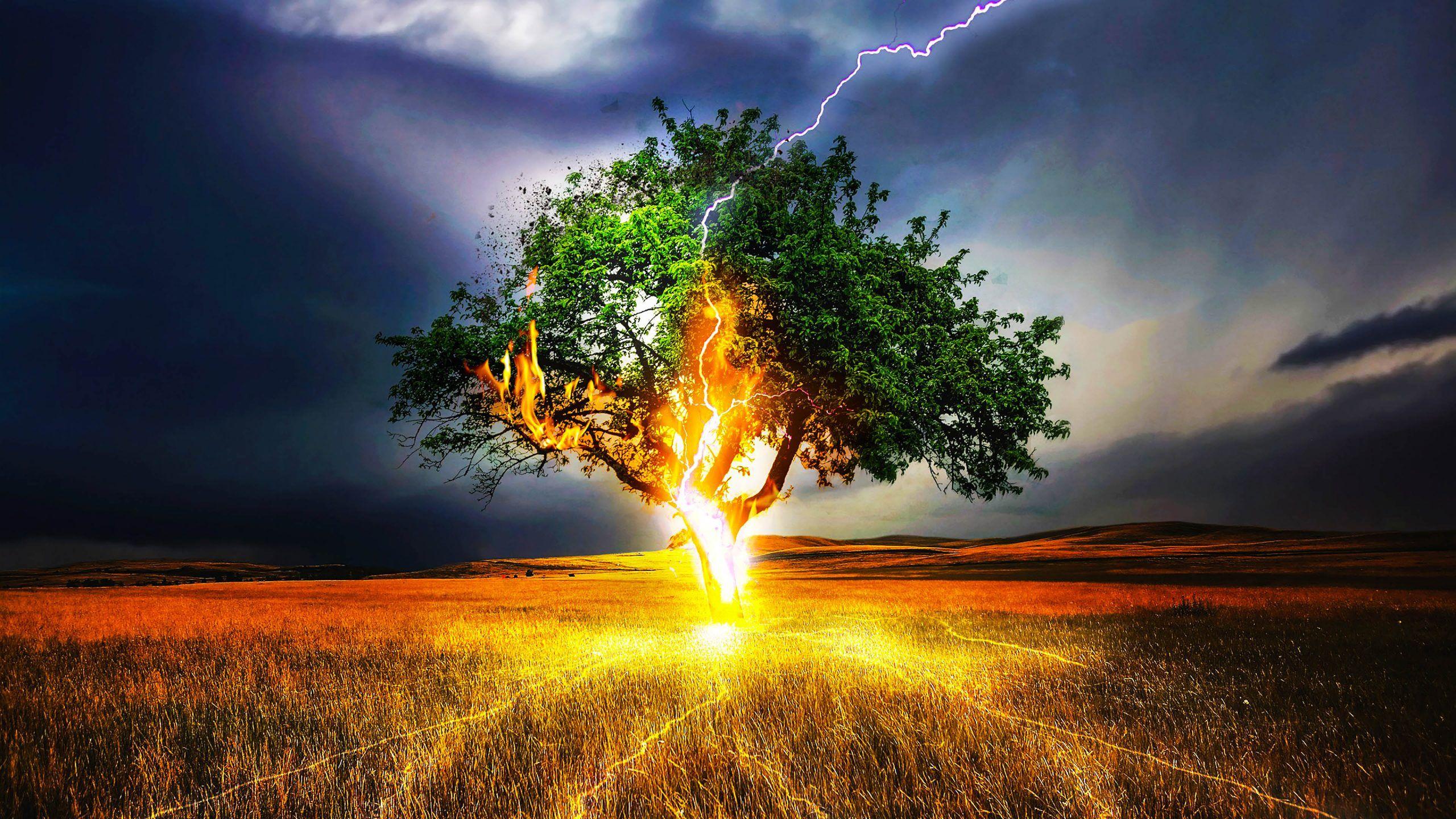 Lightning Strikes Wallpapers - Top Free Lightning Strikes Backgrounds ...