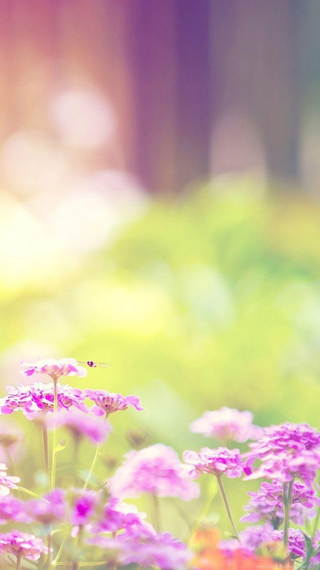 Bright Floral iPhone Wallpapers - Top Free Bright Floral iPhone ...