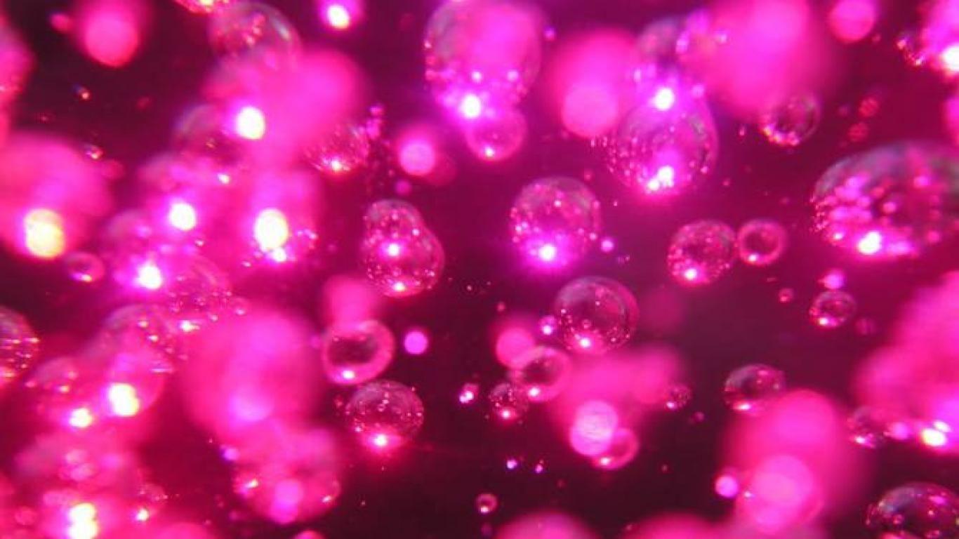 Bright Pink Desktop Wallpapers - Top Free Bright Pink Desktop ...