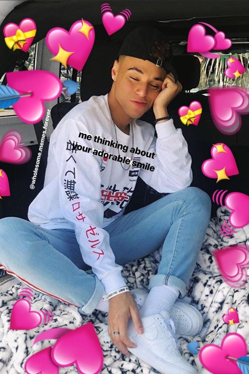 Larray Wallpapers - Top Free Larray Backgrounds - WallpaperAccess