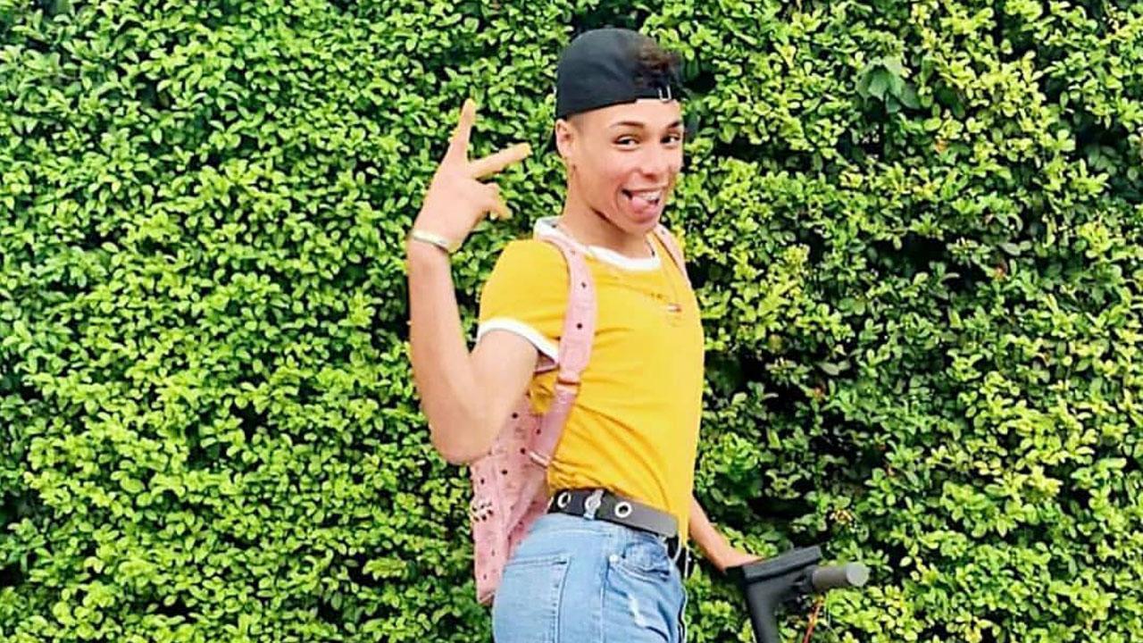 Larray Wallpapers - Top Free Larray Backgrounds - WallpaperAccess