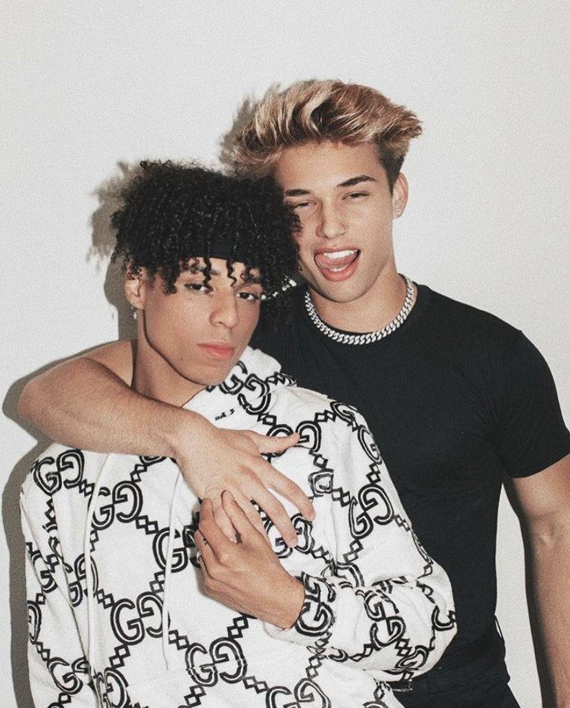 Larray Wallpapers - Top Free Larray Backgrounds - WallpaperAccess