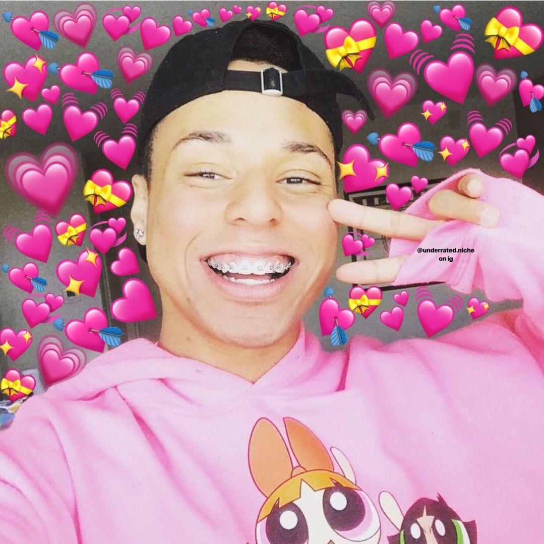 Larray Wallpapers - Top Free Larray Backgrounds - WallpaperAccess