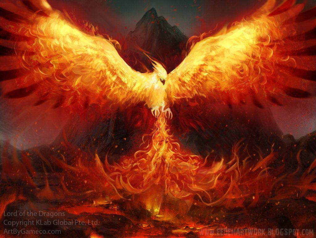 Dragon Phoenix Wallpapers - Top Free Dragon Phoenix Backgrounds ...