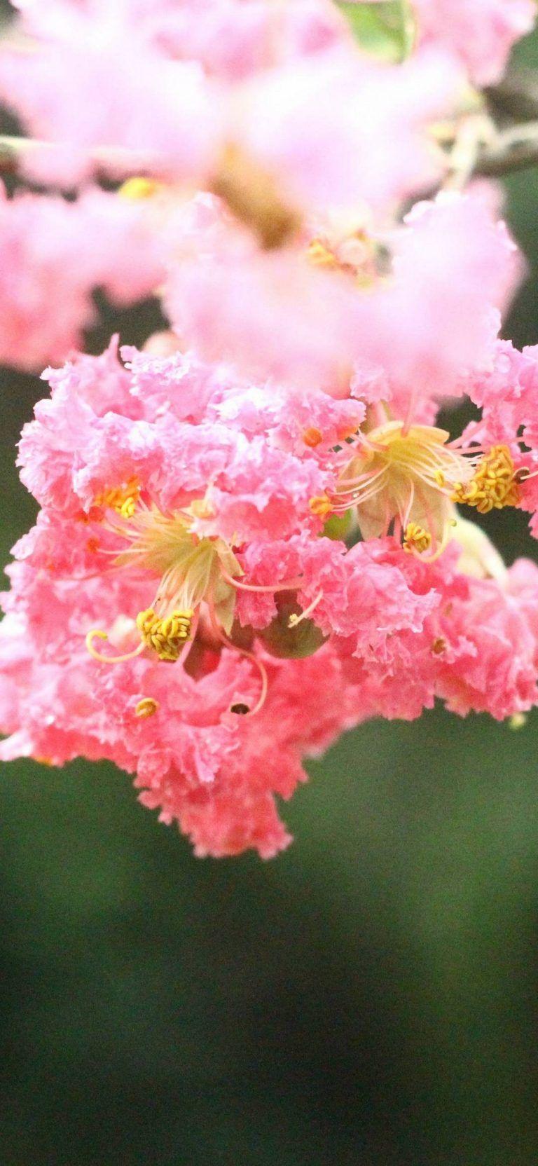 Huawei Y9 Wallpapers - Top Free Huawei Y9 Backgrounds - WallpaperAccess