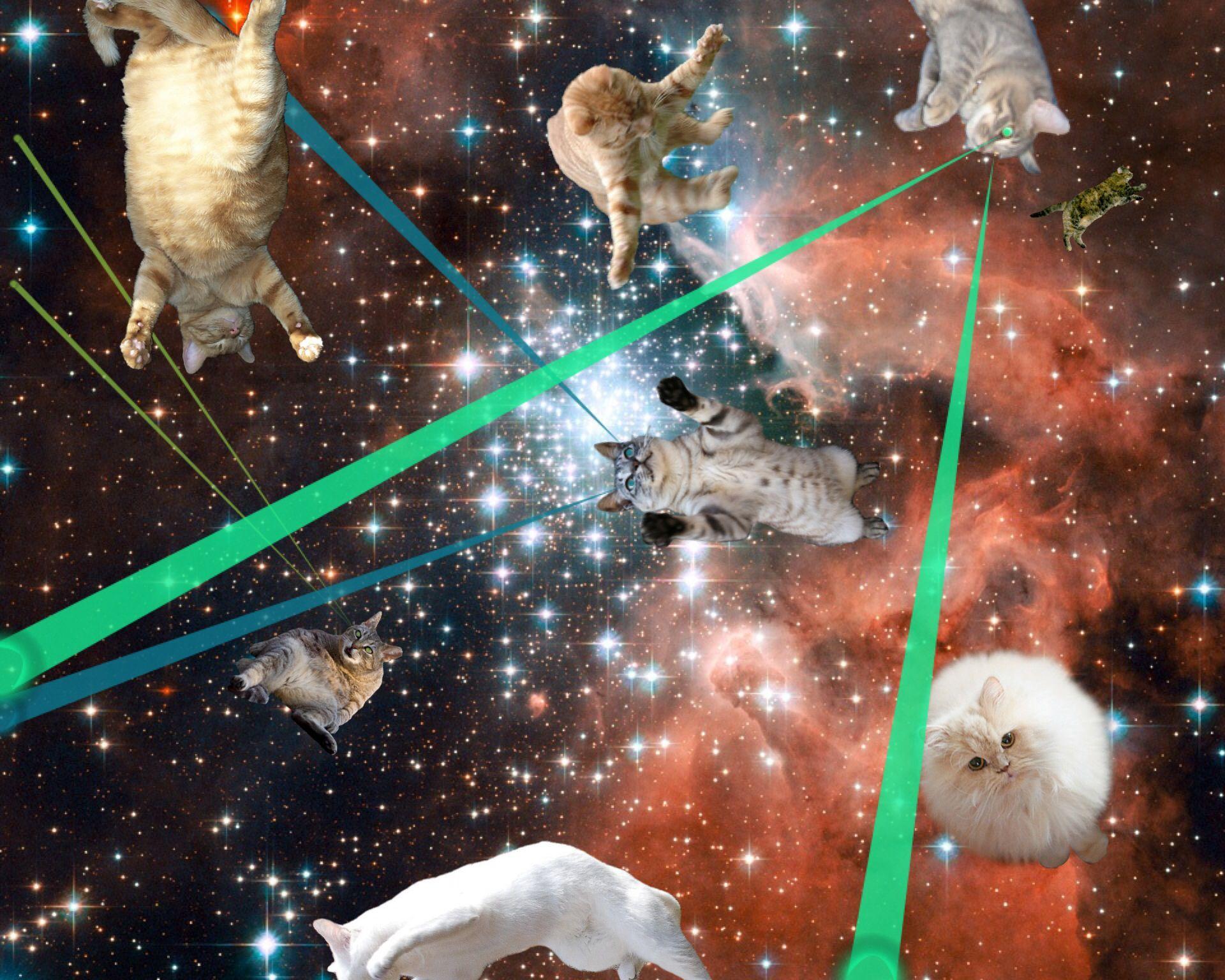 Cats in Space Wallpapers - Top Free Cats in Space Backgrounds ...