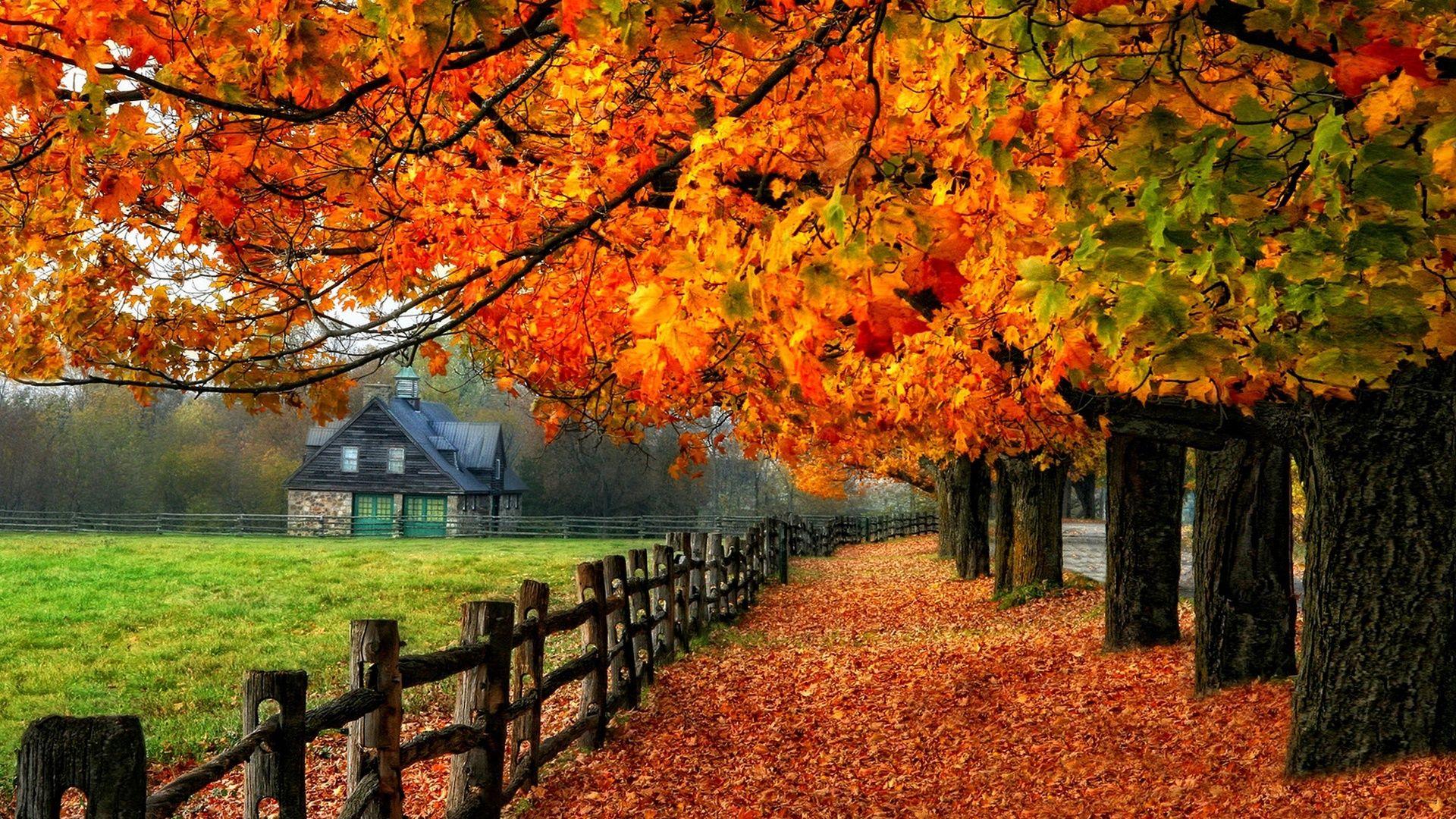 Autumn House Wallpapers - Top Free Autumn House Backgrounds ...