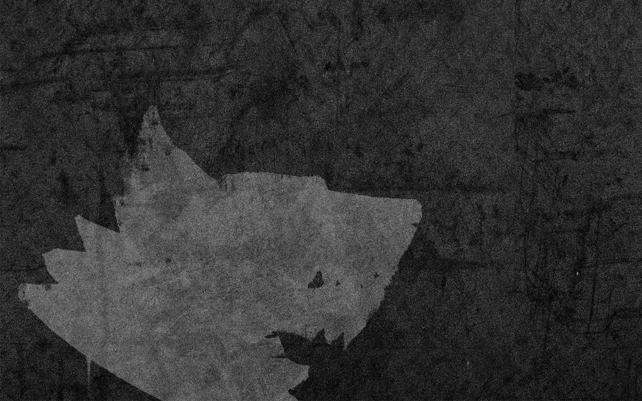 Space Wolves Wallpapers - Top Free Space Wolves Backgrounds ...