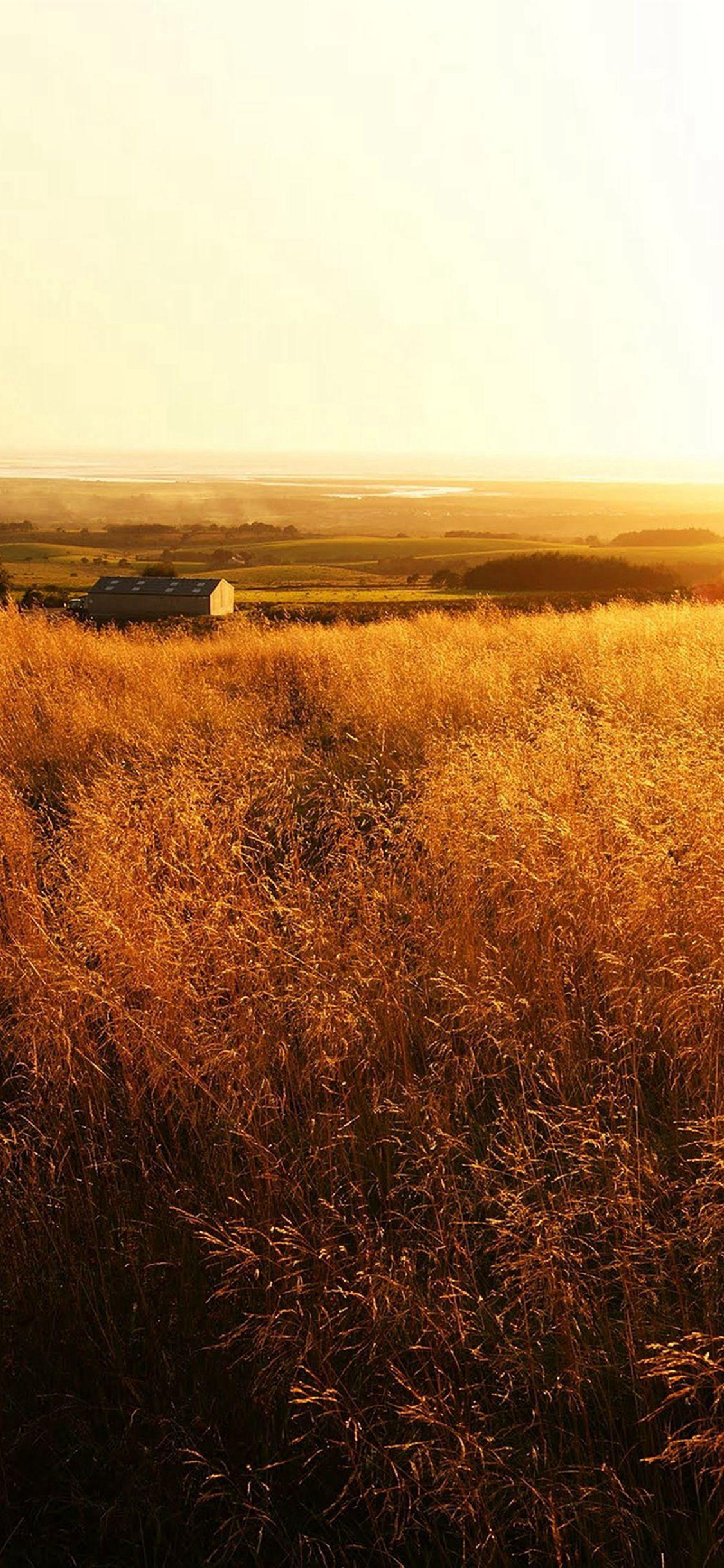 Farm Phone Wallpapers - Top Free Farm Phone Backgrounds - WallpaperAccess