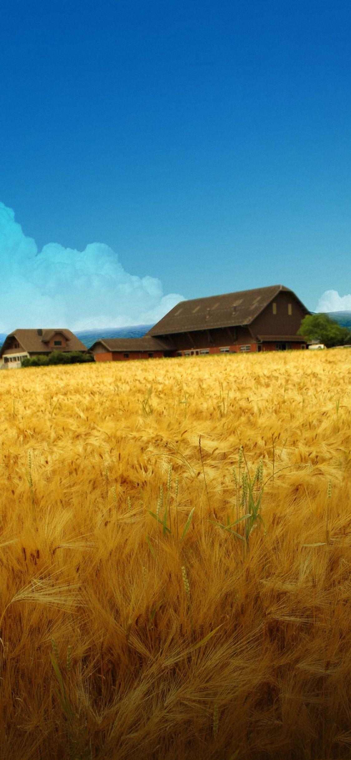 Farm Phone Wallpapers - Top Free Farm Phone Backgrounds - WallpaperAccess