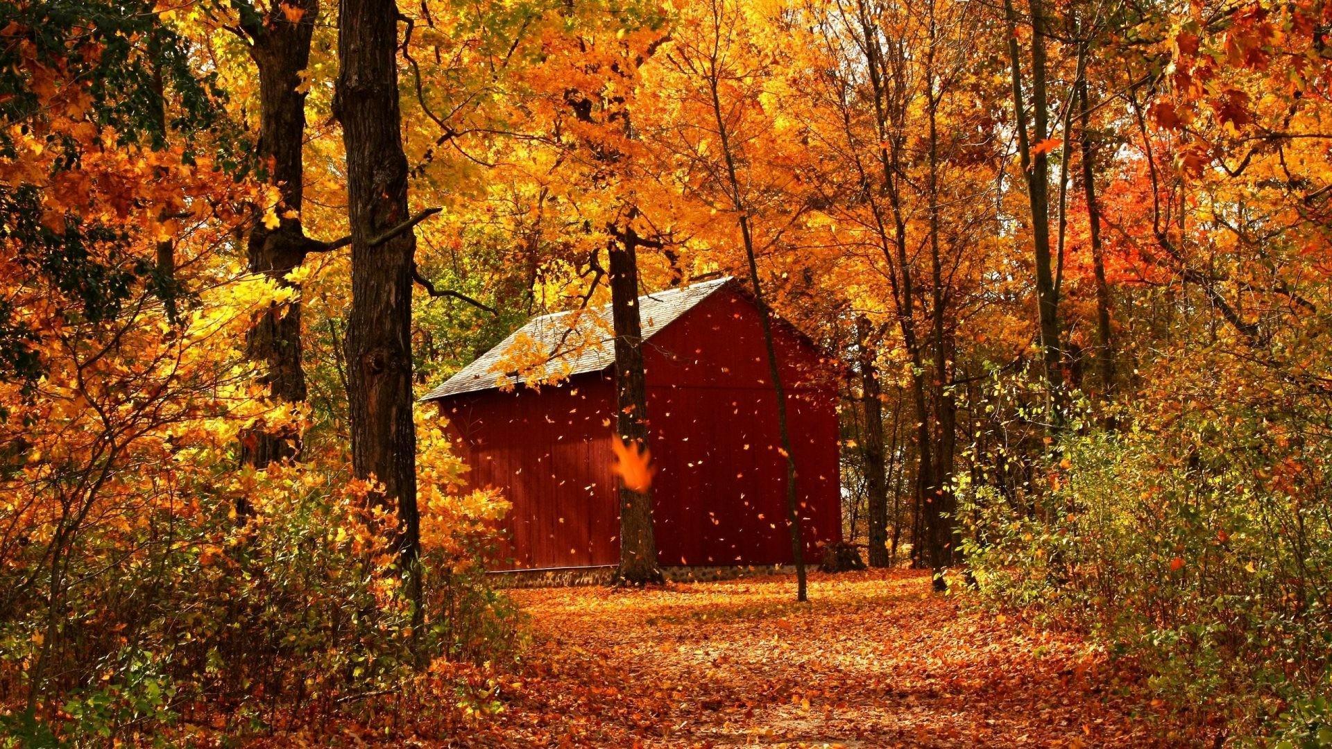 Autumn Farm Wallpapers - Top Free Autumn Farm Backgrounds - WallpaperAccess